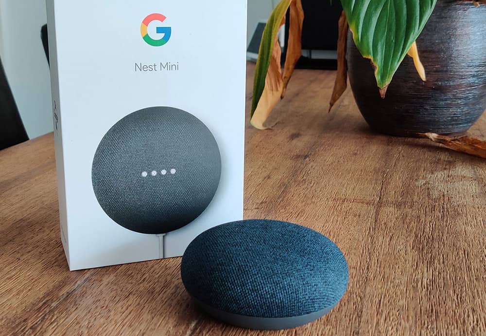 Google Nest Dogfood Photos