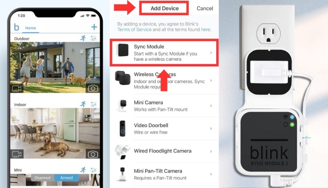 How To Reset The Blink Sync Module 4 Important Steps